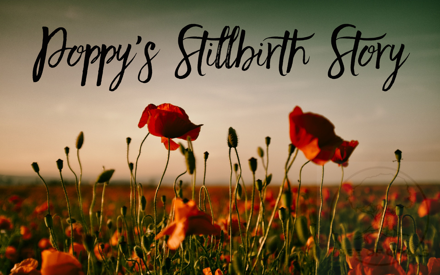 Poppy's Stillbirth Story - Tree of Opals